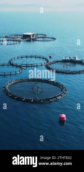 Fish farm floating net sea water surface coast skyline seafood business ...
