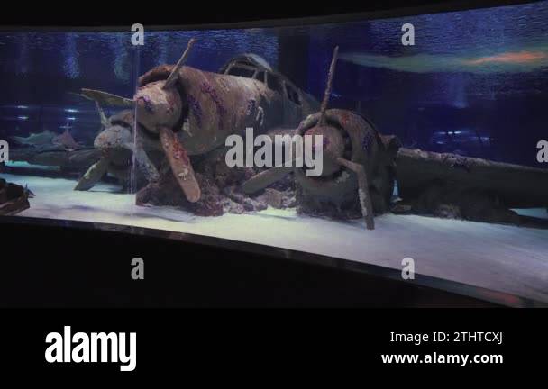 Old wrecked twin engine propellor aircraft underwater in an aquarium ...