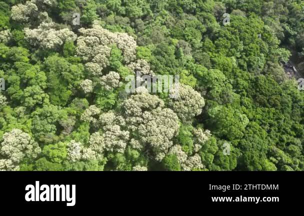 Botany bay water Stock Videos & Footage - HD and 4K Video Clips - Alamy