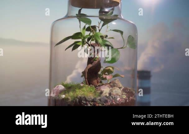 beauty of nature with this stunning vertical video of an ecosystem in a ...