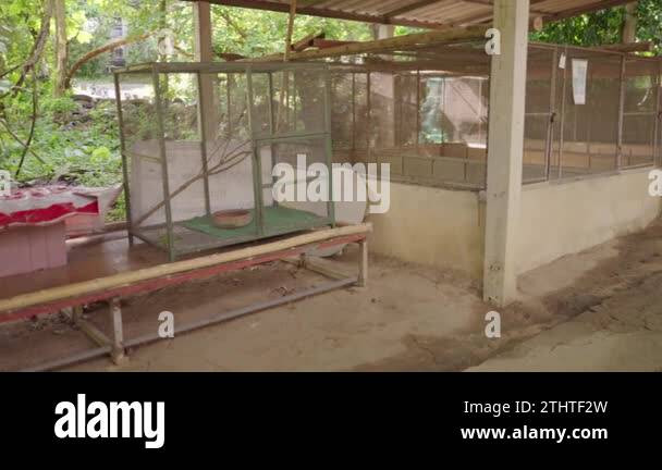 Barn cages Stock Videos & Footage - HD and 4K Video Clips - Alamy