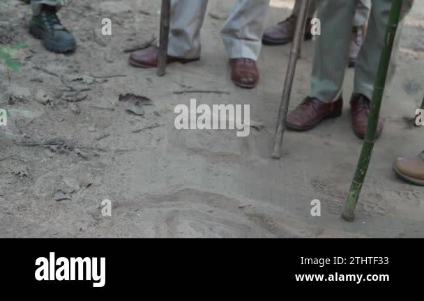 National park ranger animals Stock Videos & Footage - HD and 4K Video ...