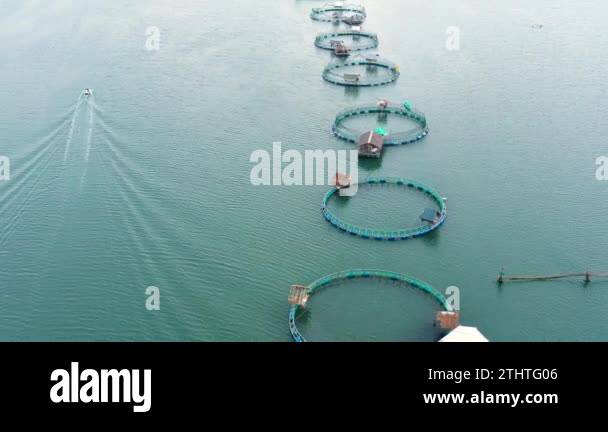 Fisheries on Luzon Island, Philippines. Fish farm, top view. Aerial ...