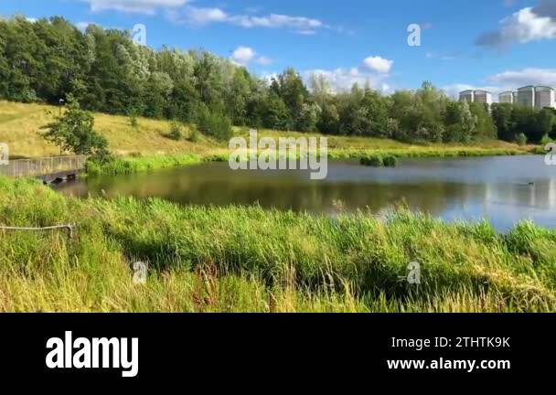 Summer riverbank panning shot of Silksworth Lake in Sunderland, UK ...