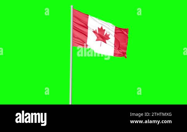 Canada flag flying animation Stock Videos & Footage - HD and 4K Video ...