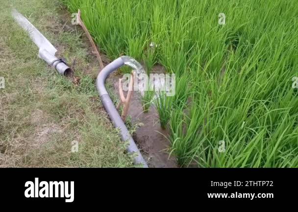 Water through pipes Stock Videos & Footage - HD and 4K Video Clips - Alamy