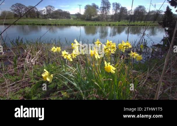 Southern spring landscape Stock Videos & Footage - HD and 4K Video ...