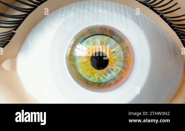 Structure of the retina Stock Videos & Footage - HD and 4K Video Clips ...