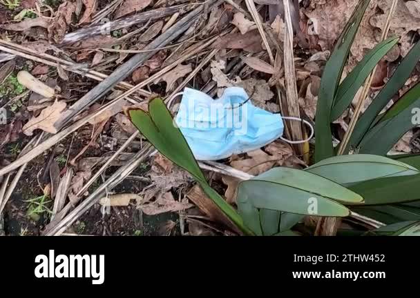 Bush mask Stock Videos & Footage - HD and 4K Video Clips - Alamy