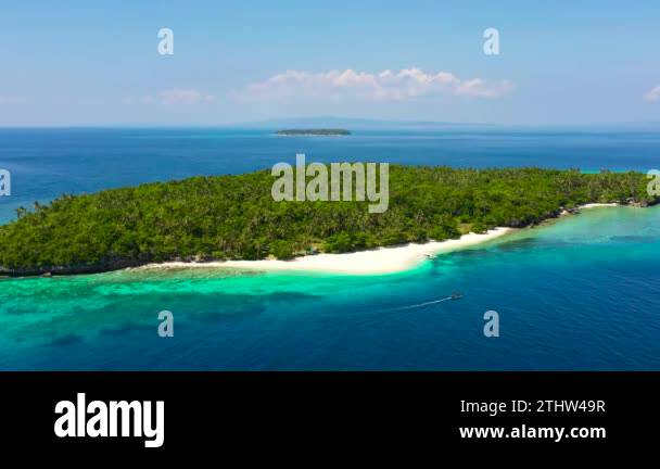 Tropical island on the attole, top view. White sandy beach with palm ...