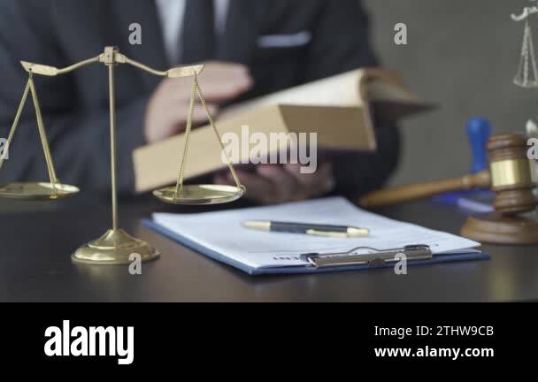 Lawyers read law books in the office. The footage features a Lady ...