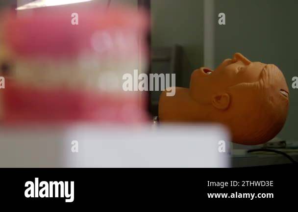 Dentist use jaw model and human mannequin head in office. Patients and ...