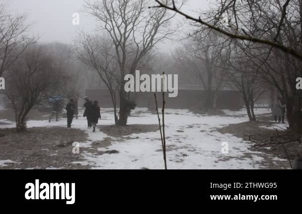 Korean people and foreign travelers travel visit natural garden on ...