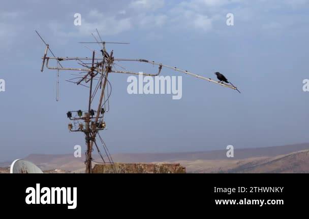 Antenna ariel Stock Videos & Footage - HD and 4K Video Clips - Alamy