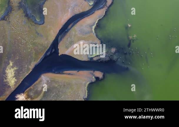 Lake pollution aerial Stock Videos & Footage - HD and 4K Video Clips ...