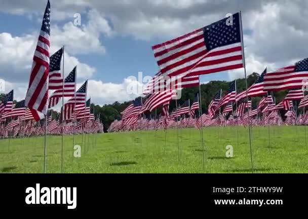 General sherman atlanta campaign Stock Videos & Footage - HD and 4K ...