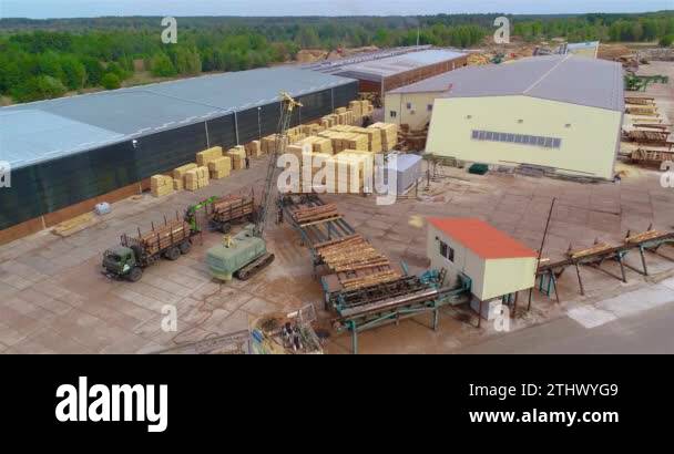 Crane unloads logs on the sorting line. Automated log sorting at a ...
