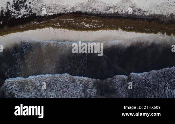 Mexican Beach Resorts Tackling Sargassum Gulfweed on the Beaches Stock ...