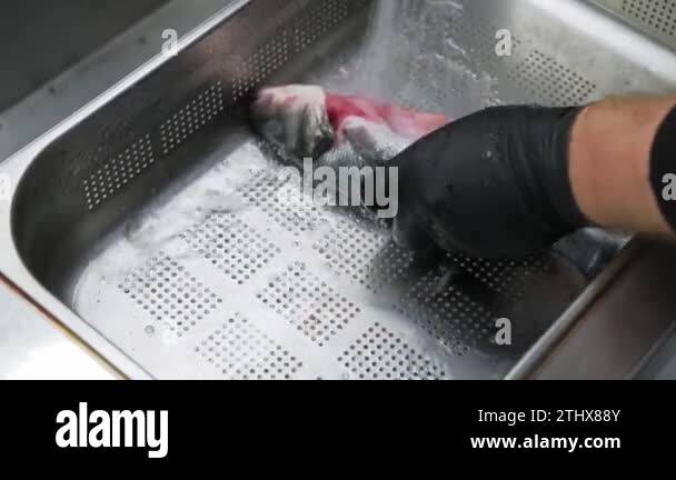 Washing cleaning fish Stock Videos & Footage - HD and 4K Video Clips ...