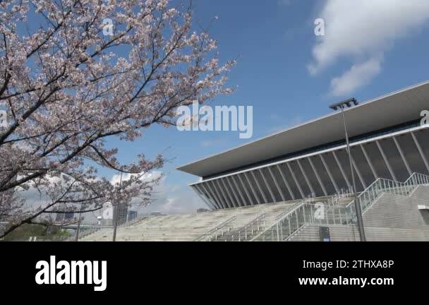 Tatsumi no Mori Seaside Park Cherry blossom 2023, Japan Tokyo Stock ...