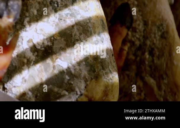Leg of Iberian ham detailed macro shoot swinging, where it is seen in ...