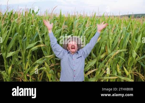 Elderly screaming farmer agronomist raises his hands up in happiness in ...
