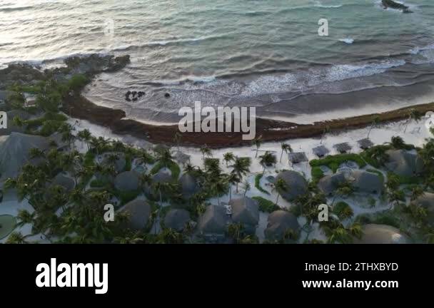 Sargassum Seaweed Known as Gulfweed Covers Beautiful Beaches Aerial ...