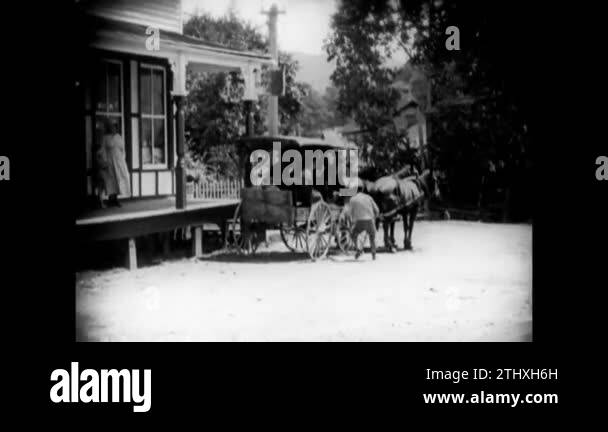 Horse chasing man Stock Videos & Footage - HD and 4K Video Clips - Alamy