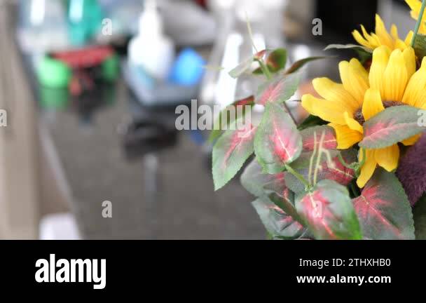 Camera chasing of the fake flower at home with blur background Stock ...