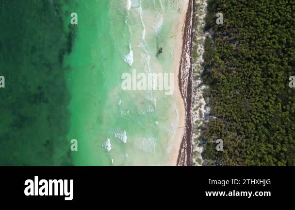 Sargassum Seaweed Known as Gulfweed Covers Beautiful Beaches Aerial ...