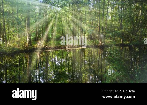 Hidden river Stock Videos & Footage - HD and 4K Video Clips - Alamy
