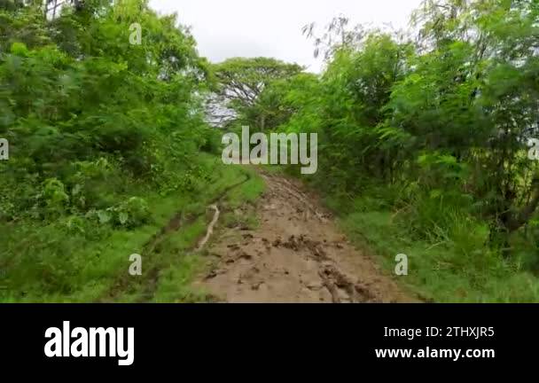Clay forest Stock Videos & Footage - HD and 4K Video Clips - Alamy
