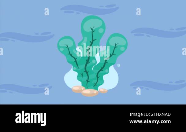 Botanical seaweed illustration Stock Videos & Footage - HD and 4K Video ...