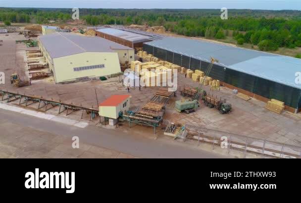 Crane unloads logs on the sorting line. Automated log sorting at a ...