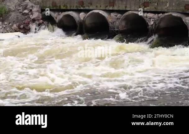 A concrete pipe that carries smelly, polluted sewage into the river ...