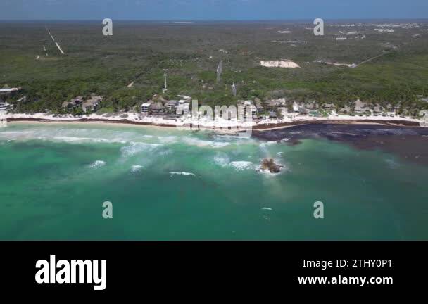 Sargassum Seaweed Crisis with Beaches in Mexico Battling Gulfweed ...