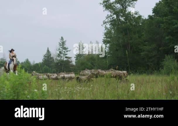Trained young female horse rider rides her horse through practice ...