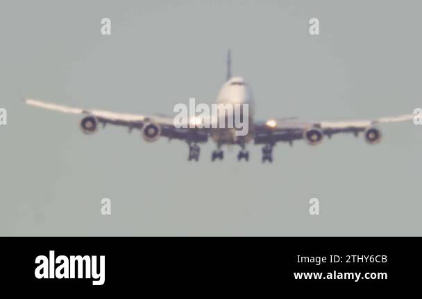 Jet airliner landing overhead. Front bottom view on landing airplane ...