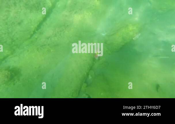 Oman pollution Stock Videos & Footage - HD and 4K Video Clips - Alamy