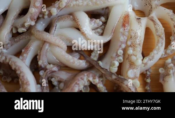 Squid suction Stock Videos & Footage - HD and 4K Video Clips - Alamy
