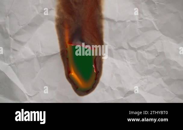 White paper burns from above on a green background copy space. The ...
