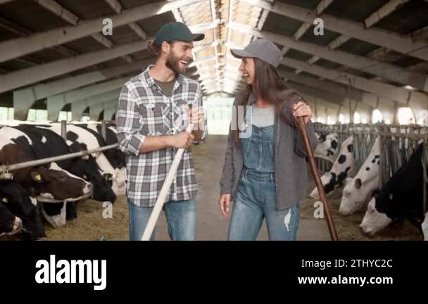 Attractive Caucasian people positively communicating and laughing in ...