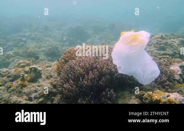 Coral reef pollution by household garbage and plastic bag. Ecological ...
