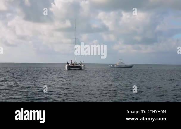 Beautiful white big catamaran with empty mast and small luxury yacht in ...