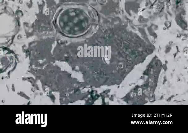 Small air bubbles rising up to smooth water surface closeup ...