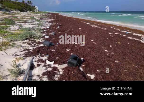 Plastic Waste Littered on a Beach Caused by Dumping of Plastics in the ...