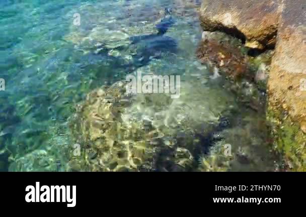 Green azure turquoise blue transparent sea salt water texture. Top view ...