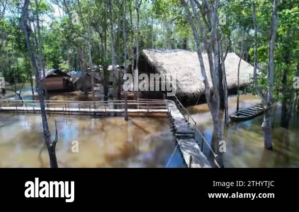 Indigenous native village at Amazon Forest Amazonas Brazil. Jungle ...