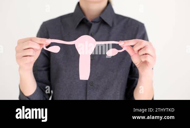 A woman holds a paper model of a female reproductive system, a close-up ...