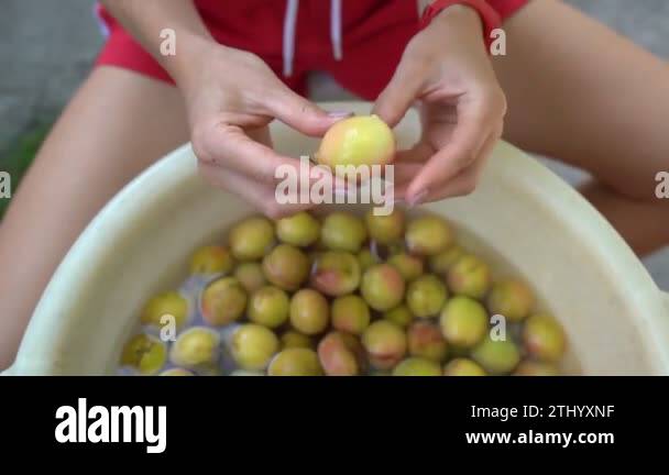 Girl farmer hands peeling ripe fresh apricots over bowl. Woman chef ...